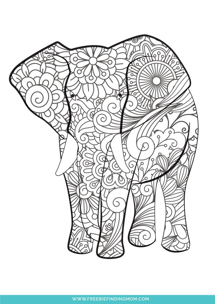 Animal Coloring Pages for Adults and Kids (3 Pages)